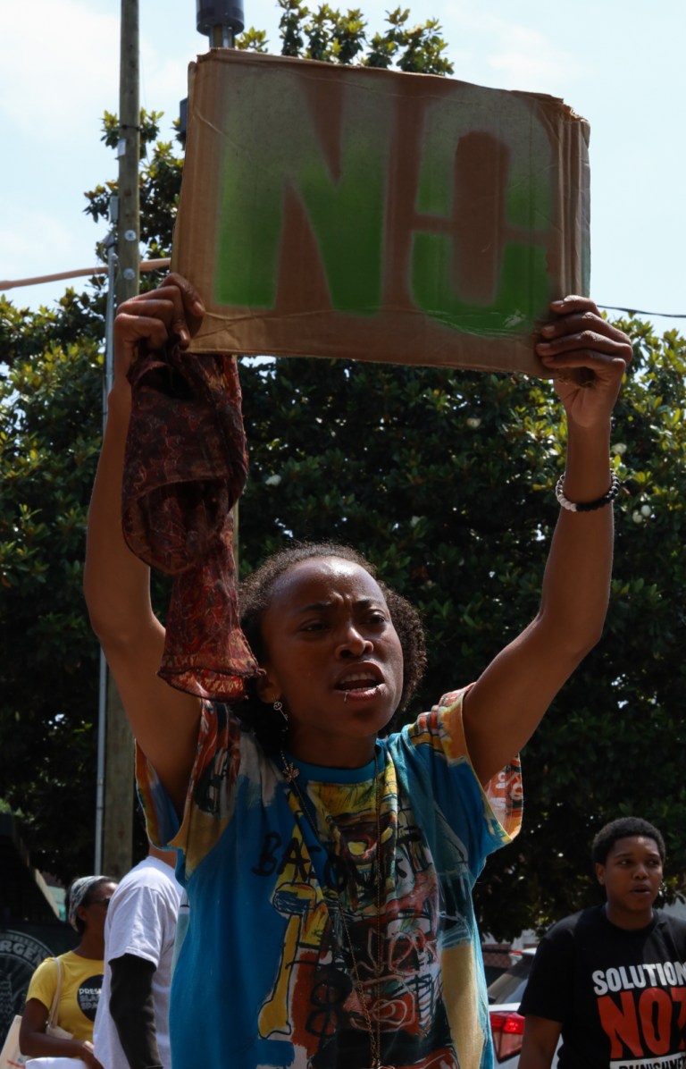 PHOTOS: City Council vote on 'Cop City' sparks record-breaking civic ...