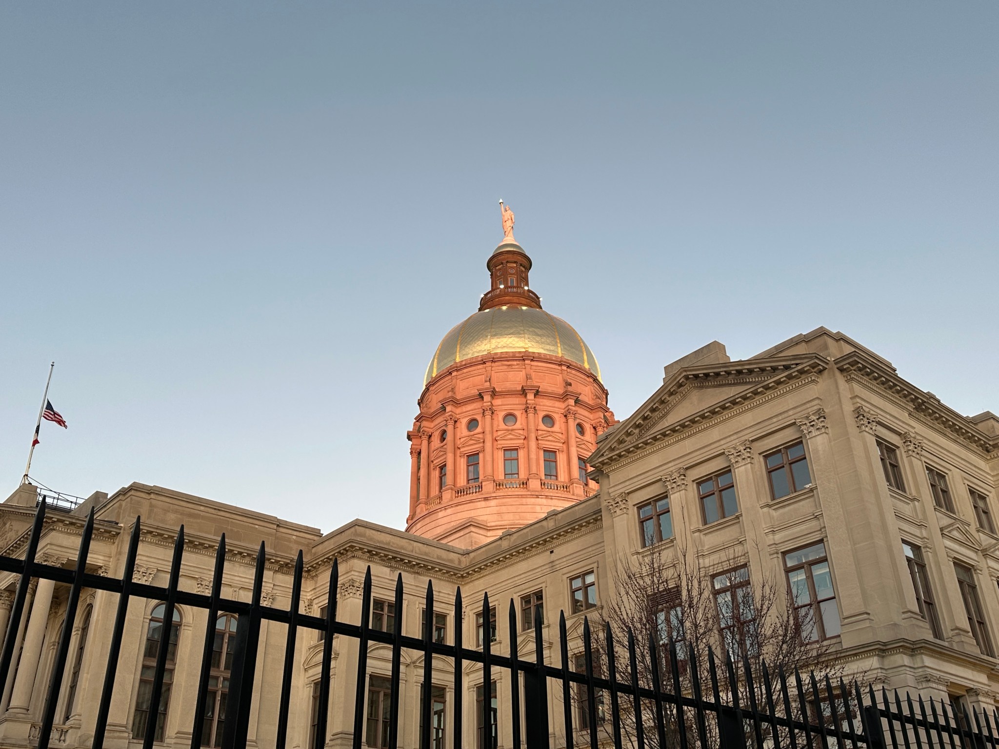 Georgia Senate Election Victory for Dickerson Comes At High Cost ...